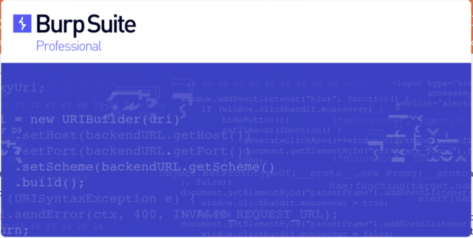 Burp Suite best-practices • Penetrationstest